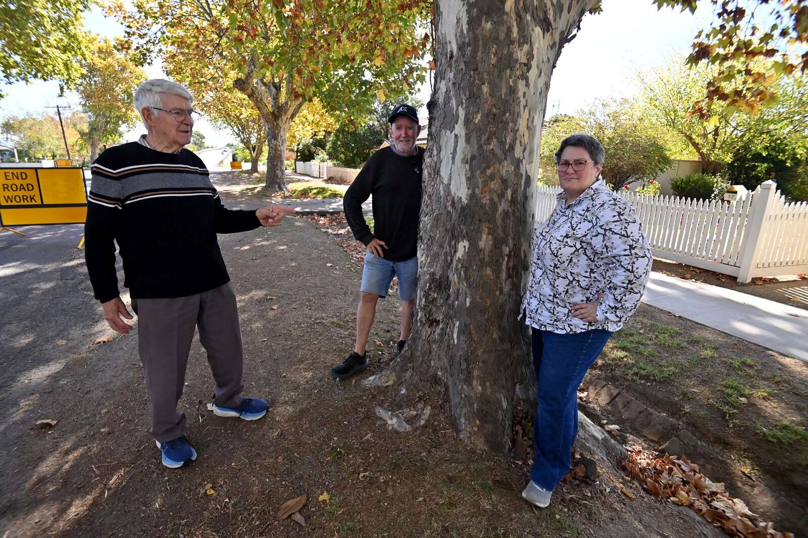 Beloved trees face the axe for rail progress | Seymour Telegraph