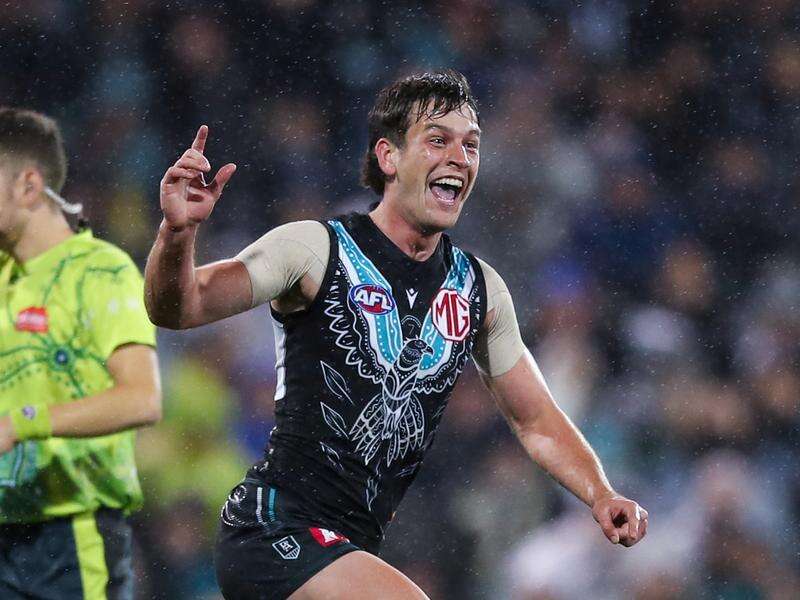 Snapshot for round 10 of the AFL season | Country News