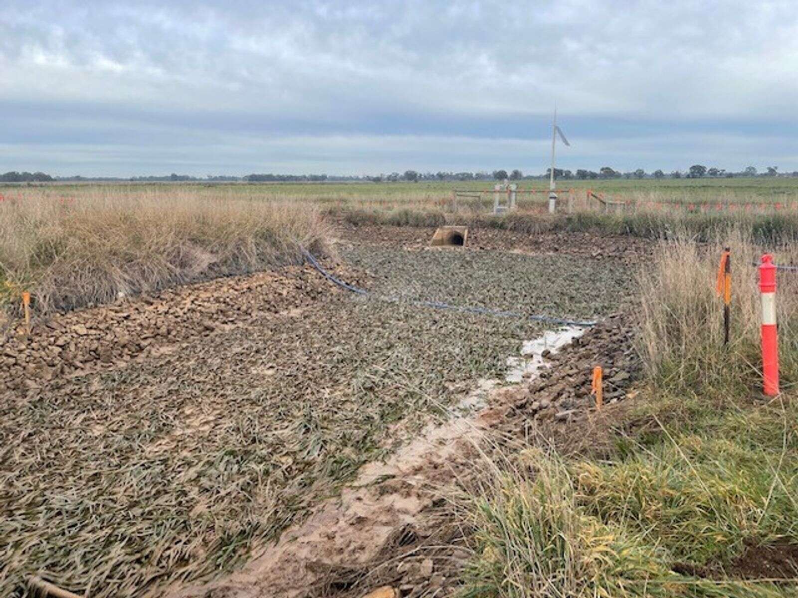 Winter weed treatment in G-MW channels | Shepparton News