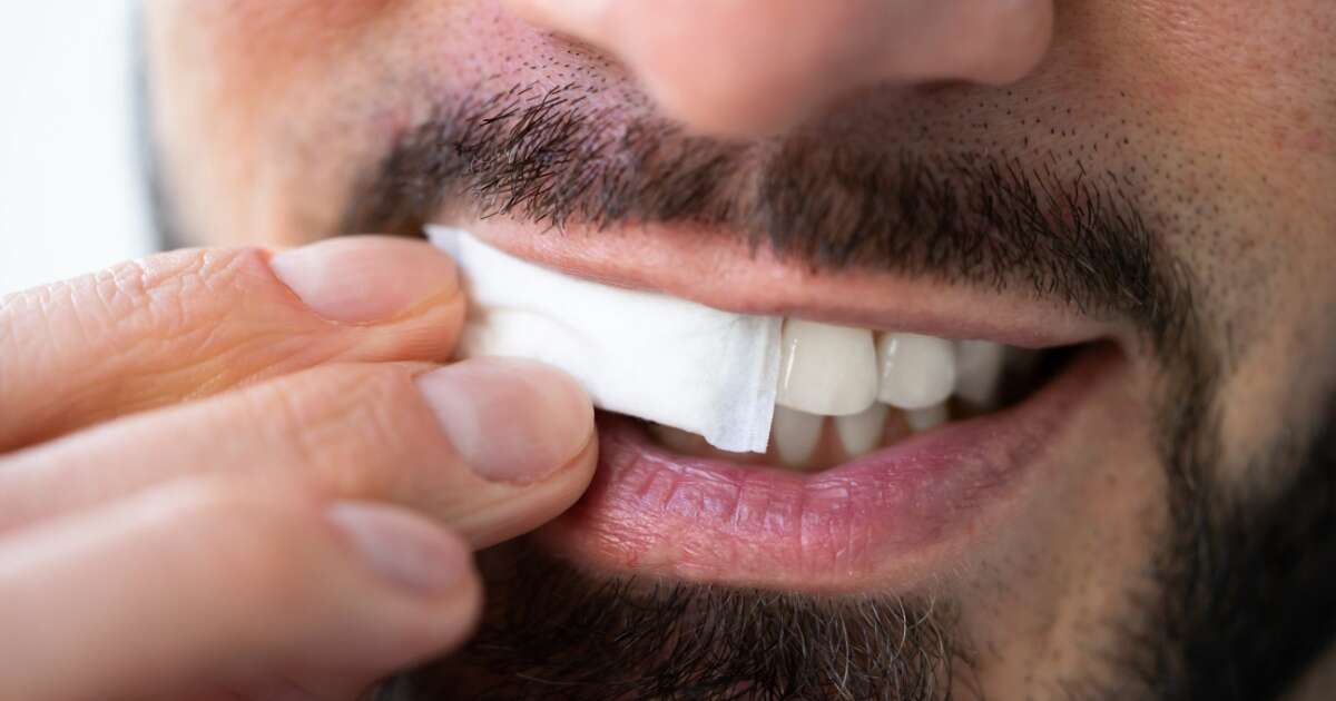 How LOOP nicotine pouches fit into your daily routine | Dairy News ...