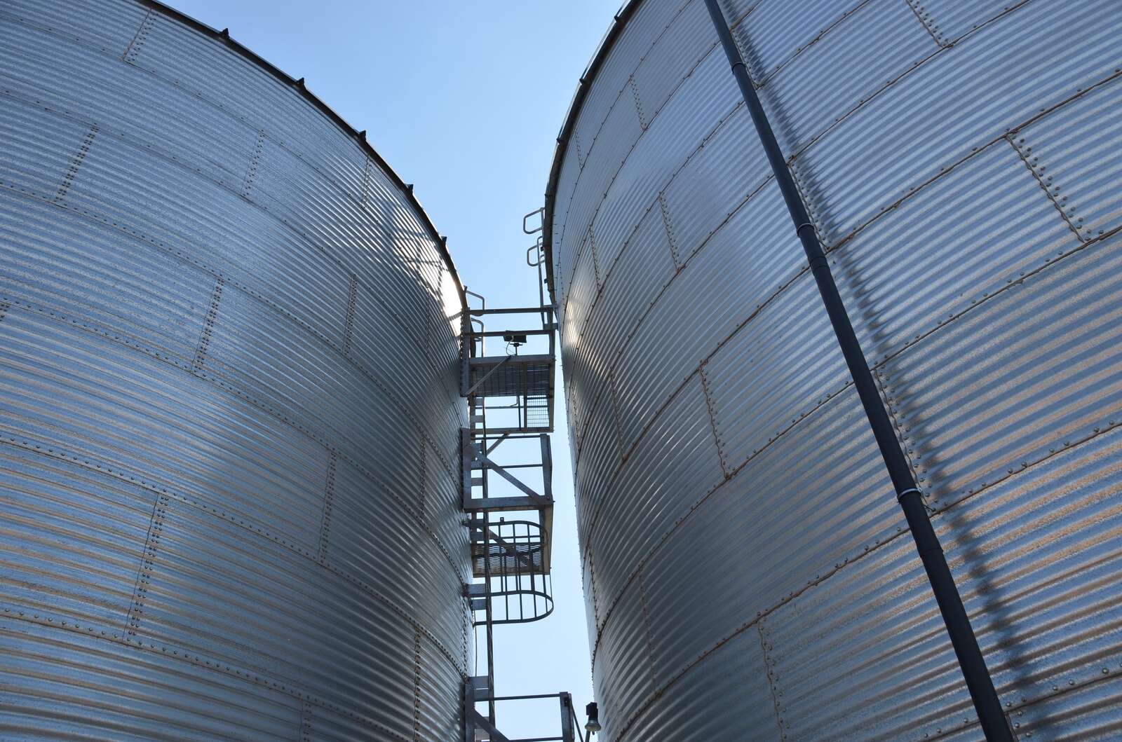 Gas-tight storage saves grain | Country News