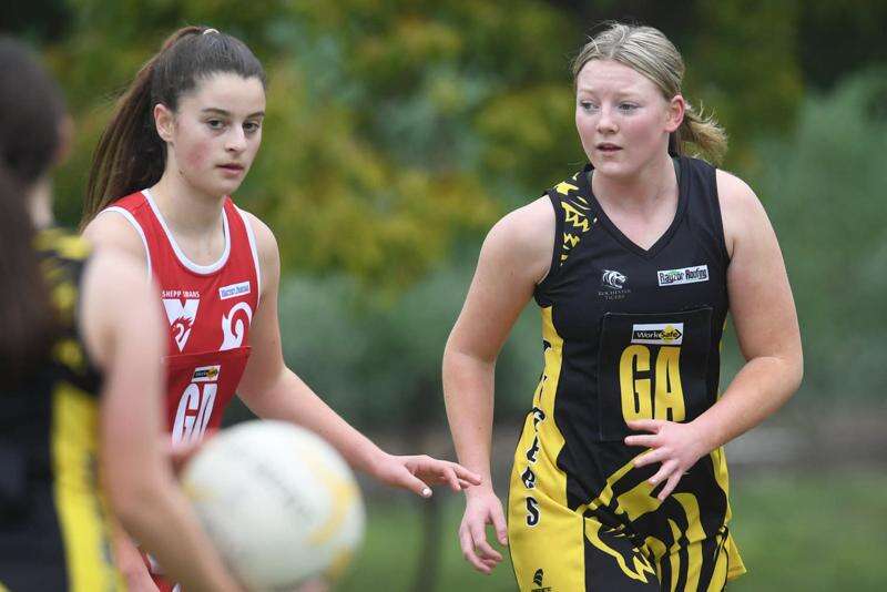 GVL netball - 15-and-under action from Princess Park | Shepparton News