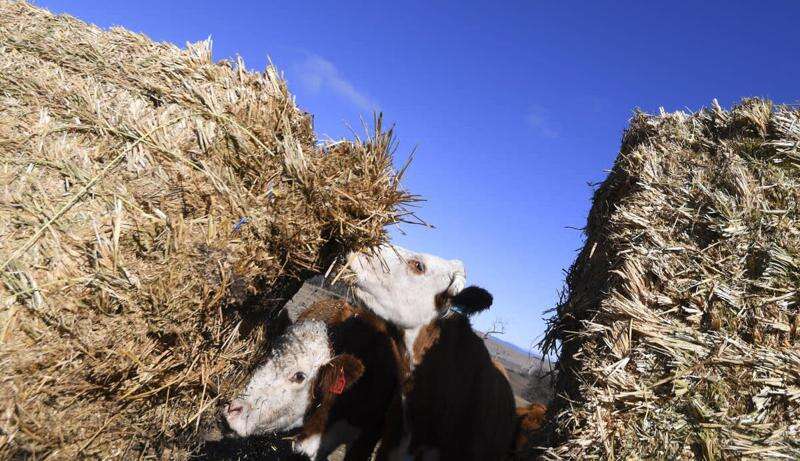 March reminders | Dairy News Australia