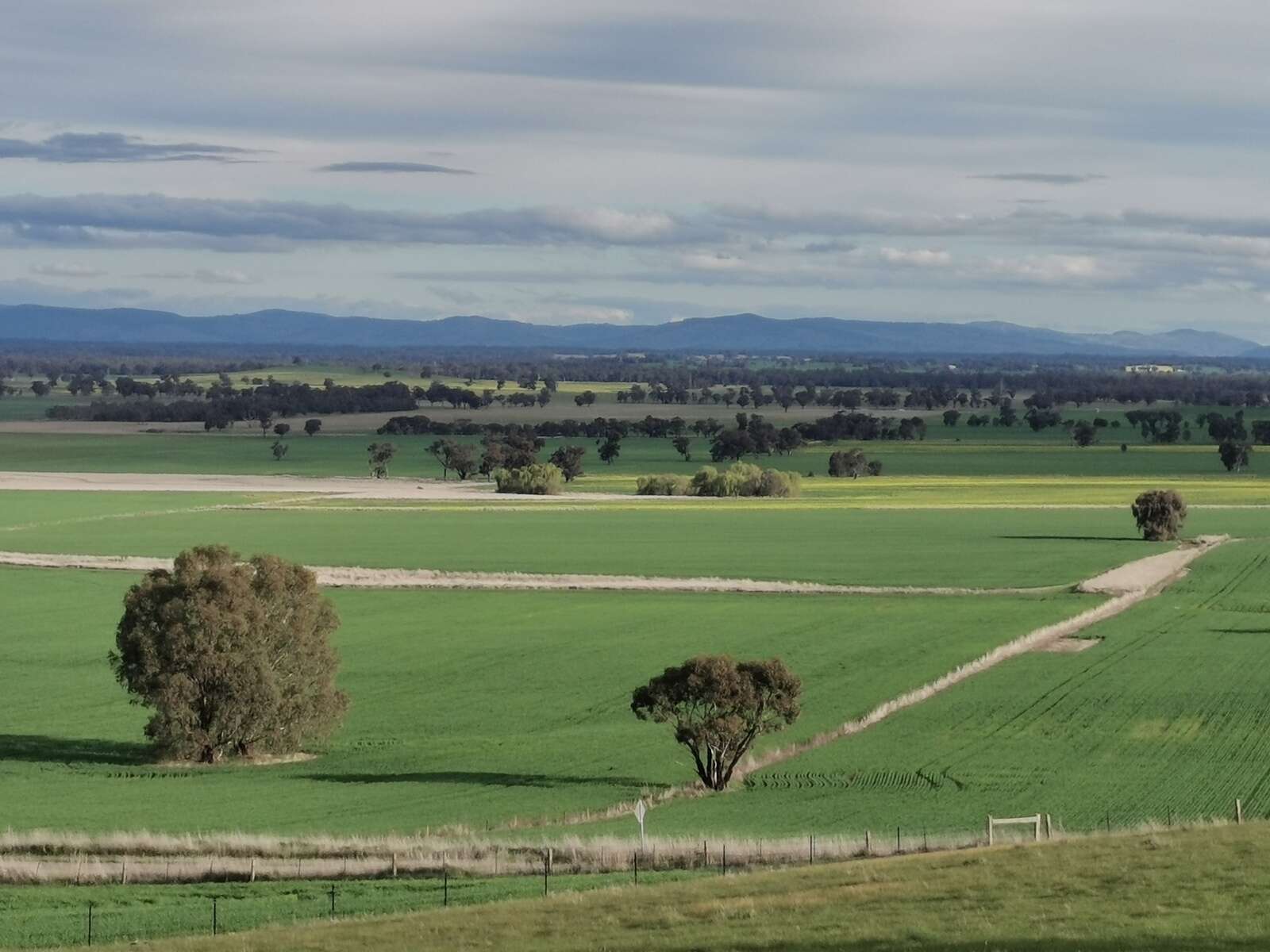 Thursday weather | Shepparton forecast | Shepparton News
