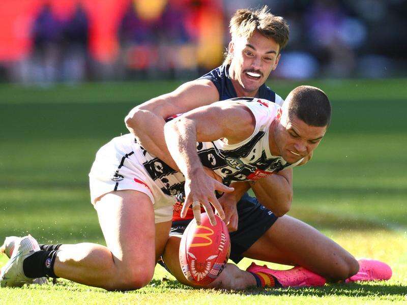 Injury-ravaged Magpies beat Crows in MCG thriller | Dairy News Australia