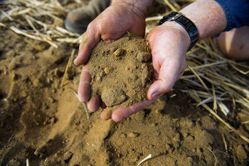 Experts to help farmers activate soil biology | Dairy News Australia
