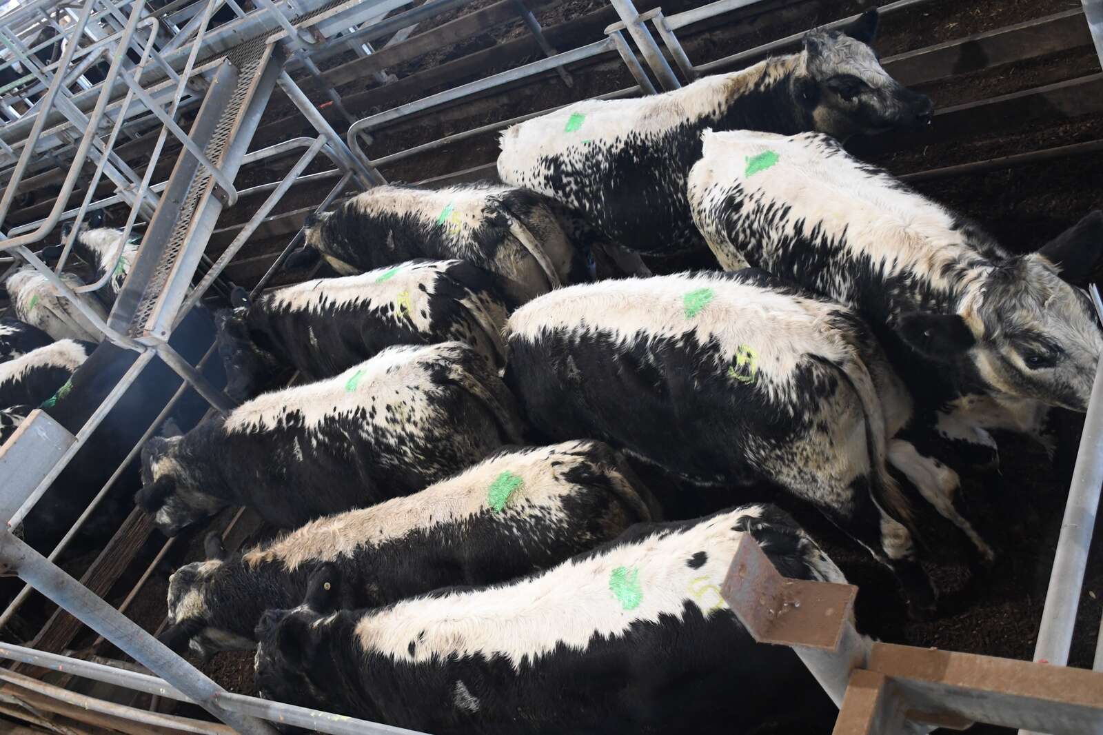 Forest rule exemption sought | Country News