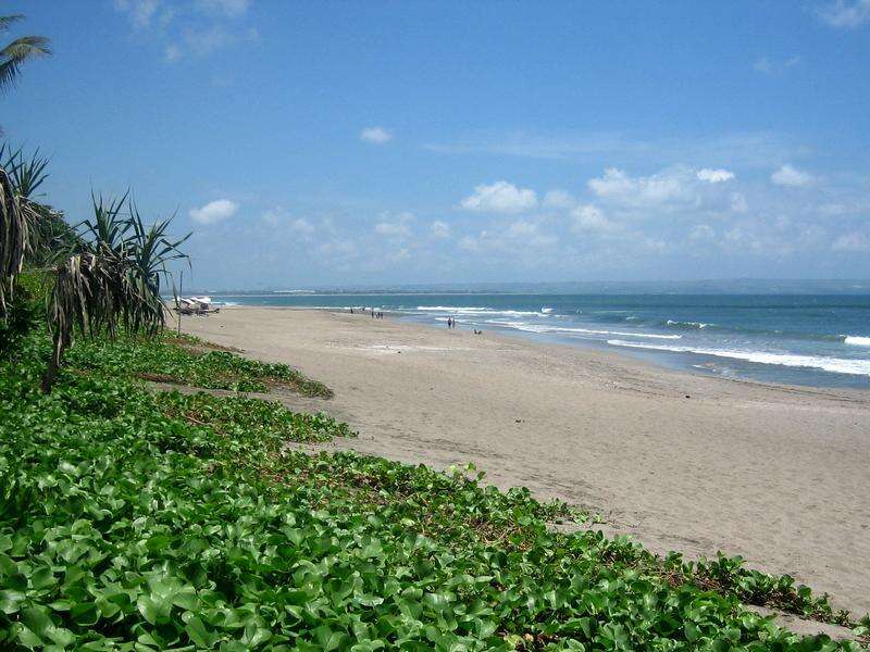 Good Samaritan Aussie dad dies in waters off Bali | Country News