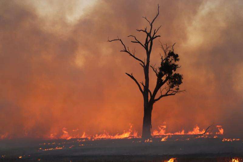 Autumn burns planned for north-east Victoria | Country News