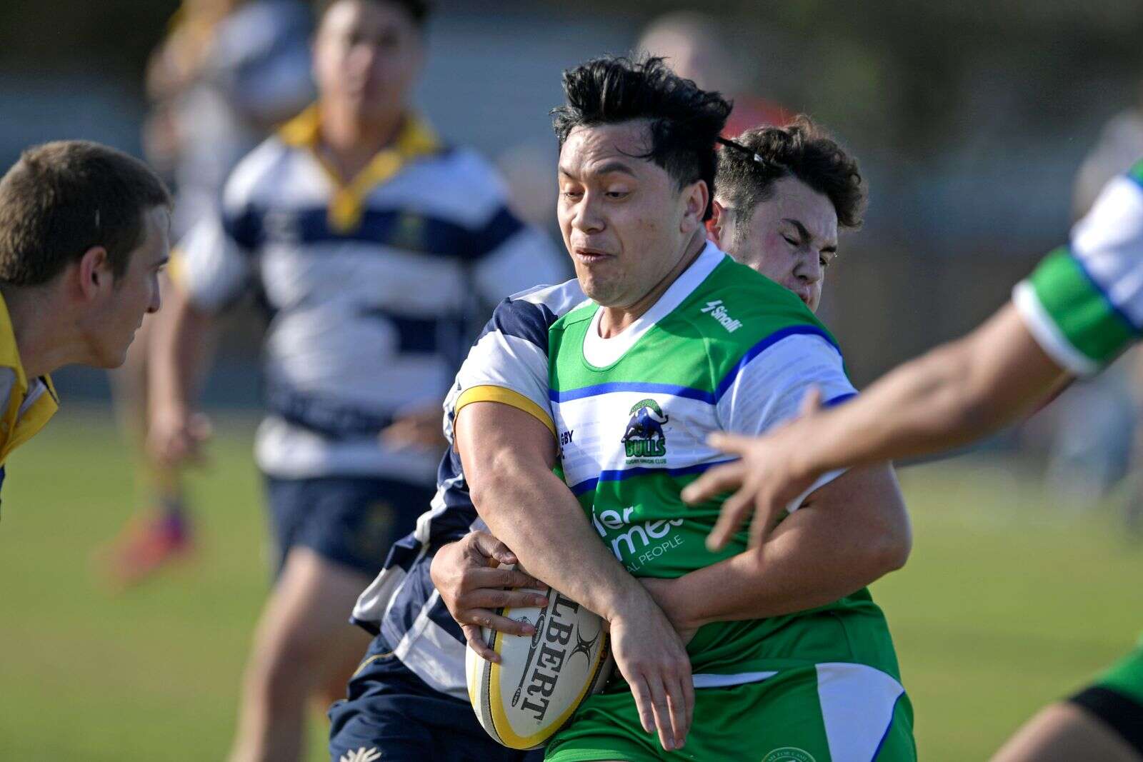 Gallery ǀ Shepparton Bulls Rugby Union Club takes on Cerberus ...