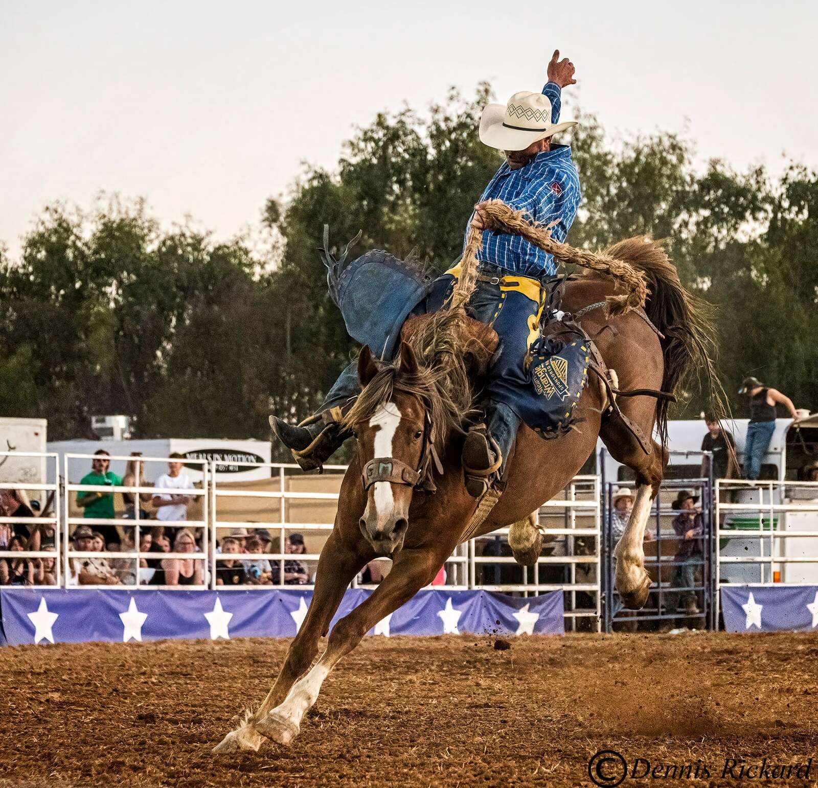 Family-friendly Katamatite Rodeo returns | Riverine Herald