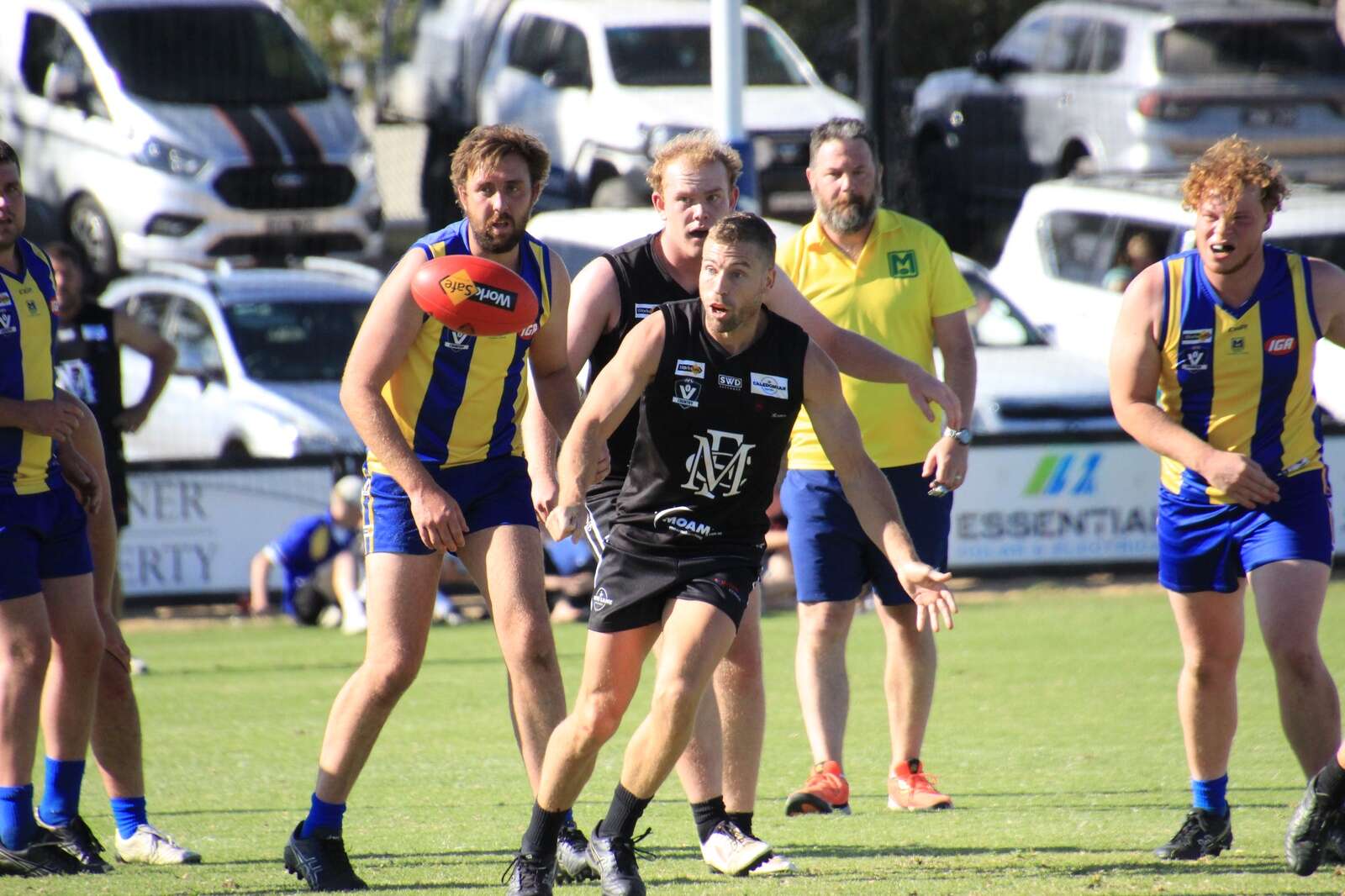 Lions’ den trip for rebooting Rams | Deniliquin Pastoral Times