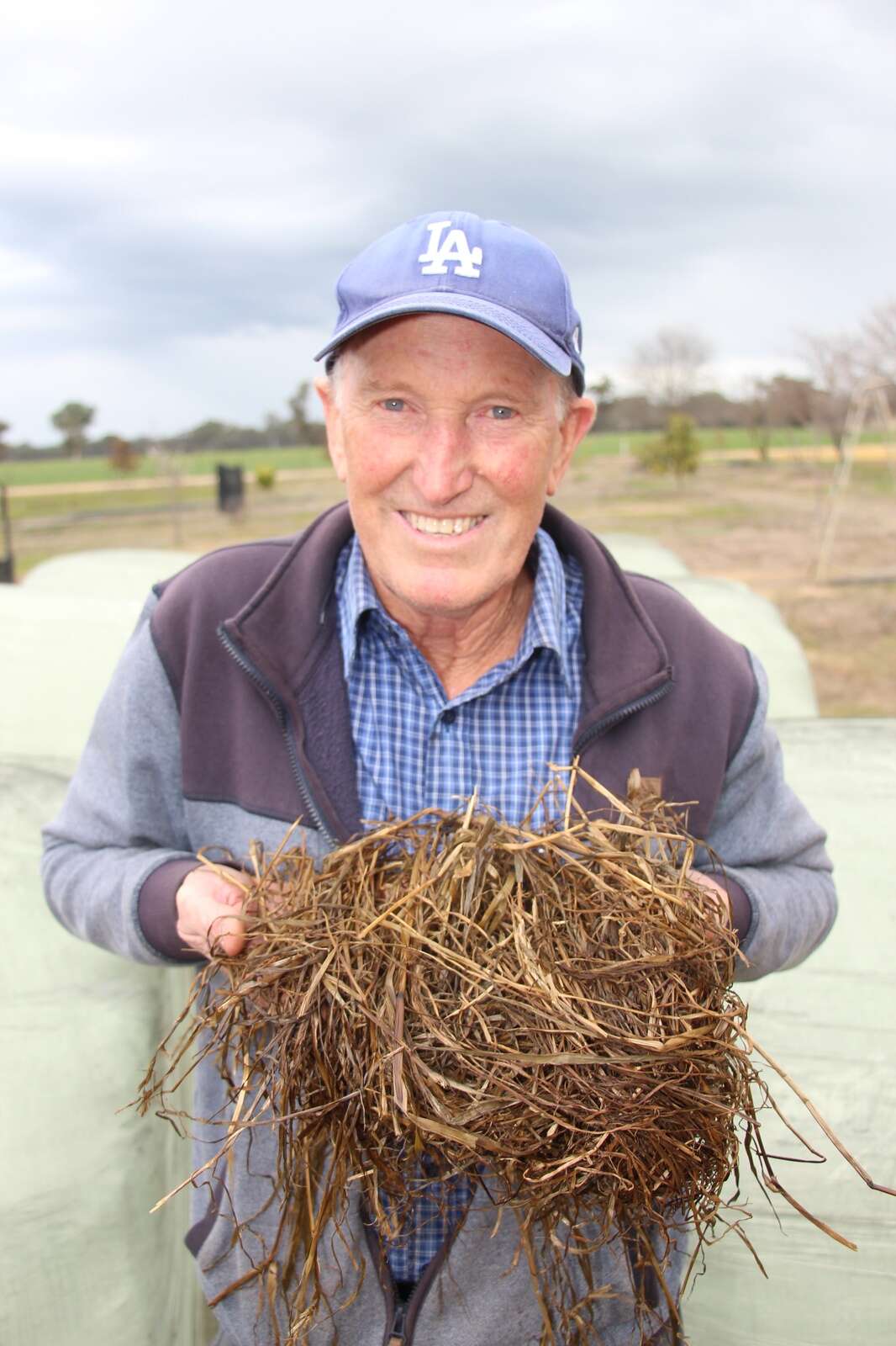 Good silage is a no-brainer | Dairy News Australia