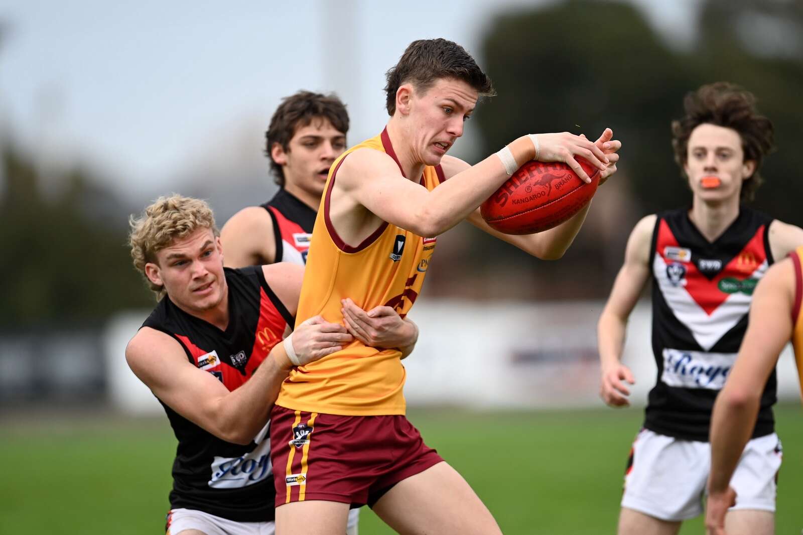Gallery: Junior Bears too strong for Saints in under-18s action ...