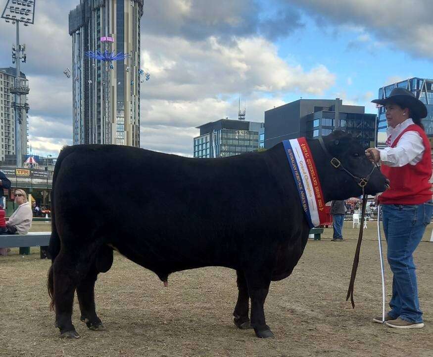 Traditional genetics — sustainable beef | Benalla Ensign