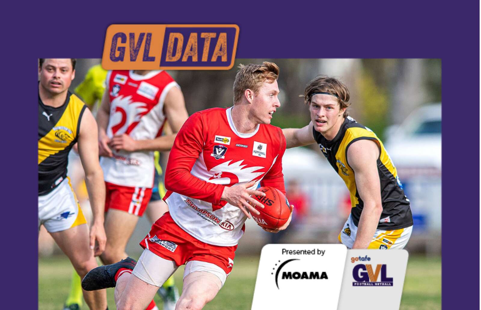 GVL Data | Opposition focus: Shepp Swans | Riverine Herald