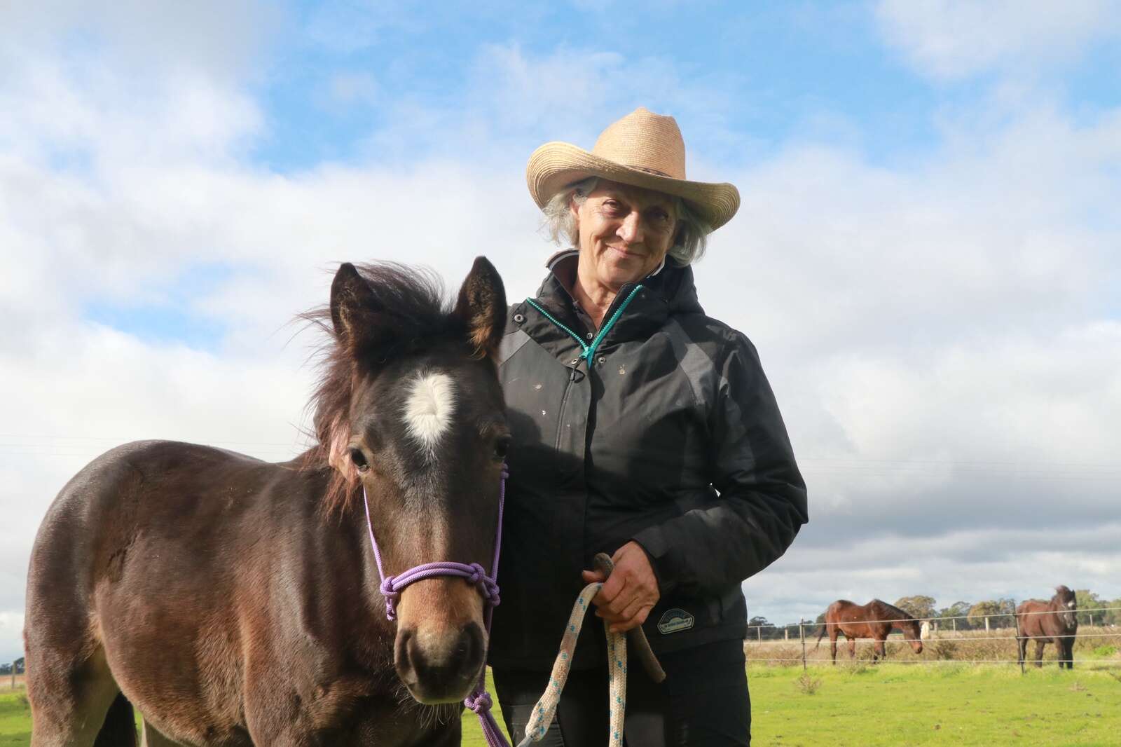 State MPs demand Barmah brumby safety | Country News