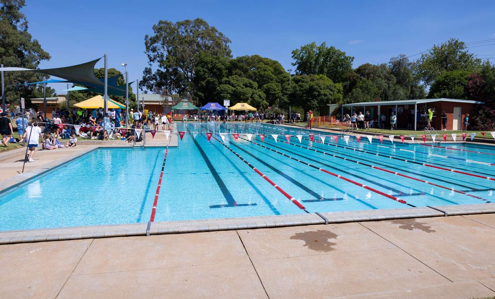 Pool figures swim in as consultation begins on 2025 aquatic outlook ...