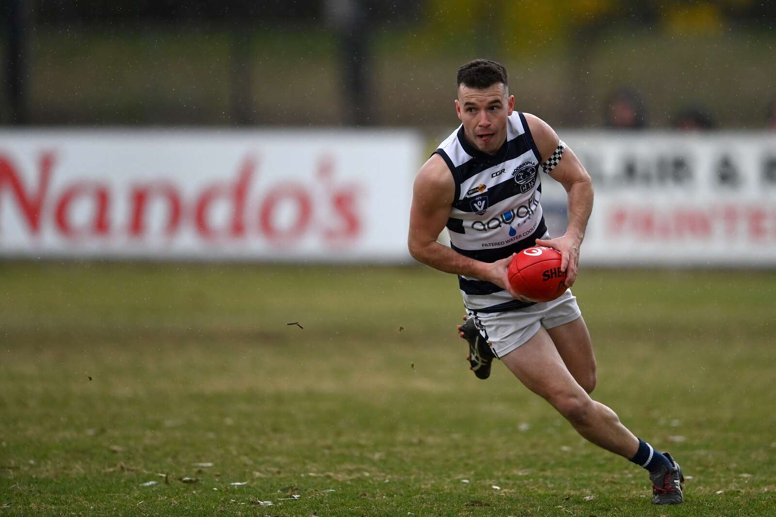 Gallery | The Cats and the Swans battled it out in the wet | Seymour ...