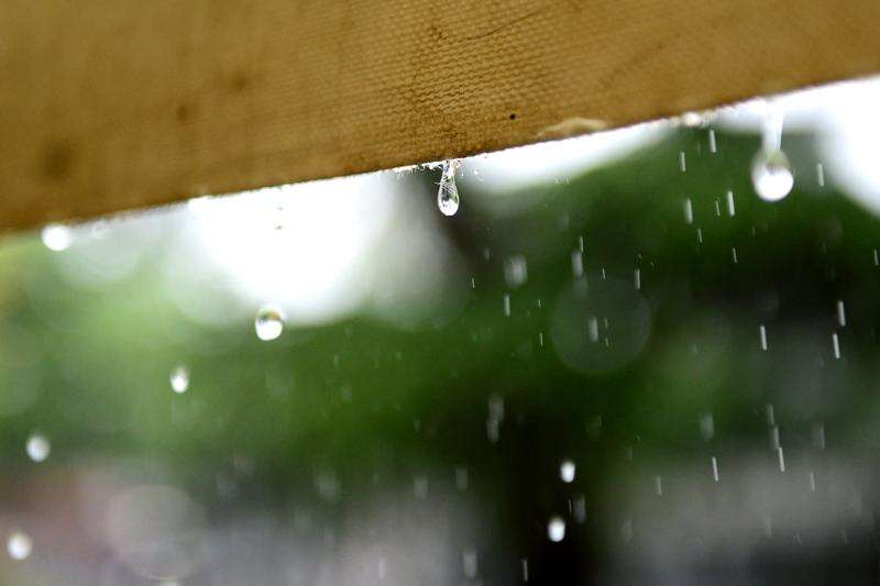 Steady rainfall across the district | Country News