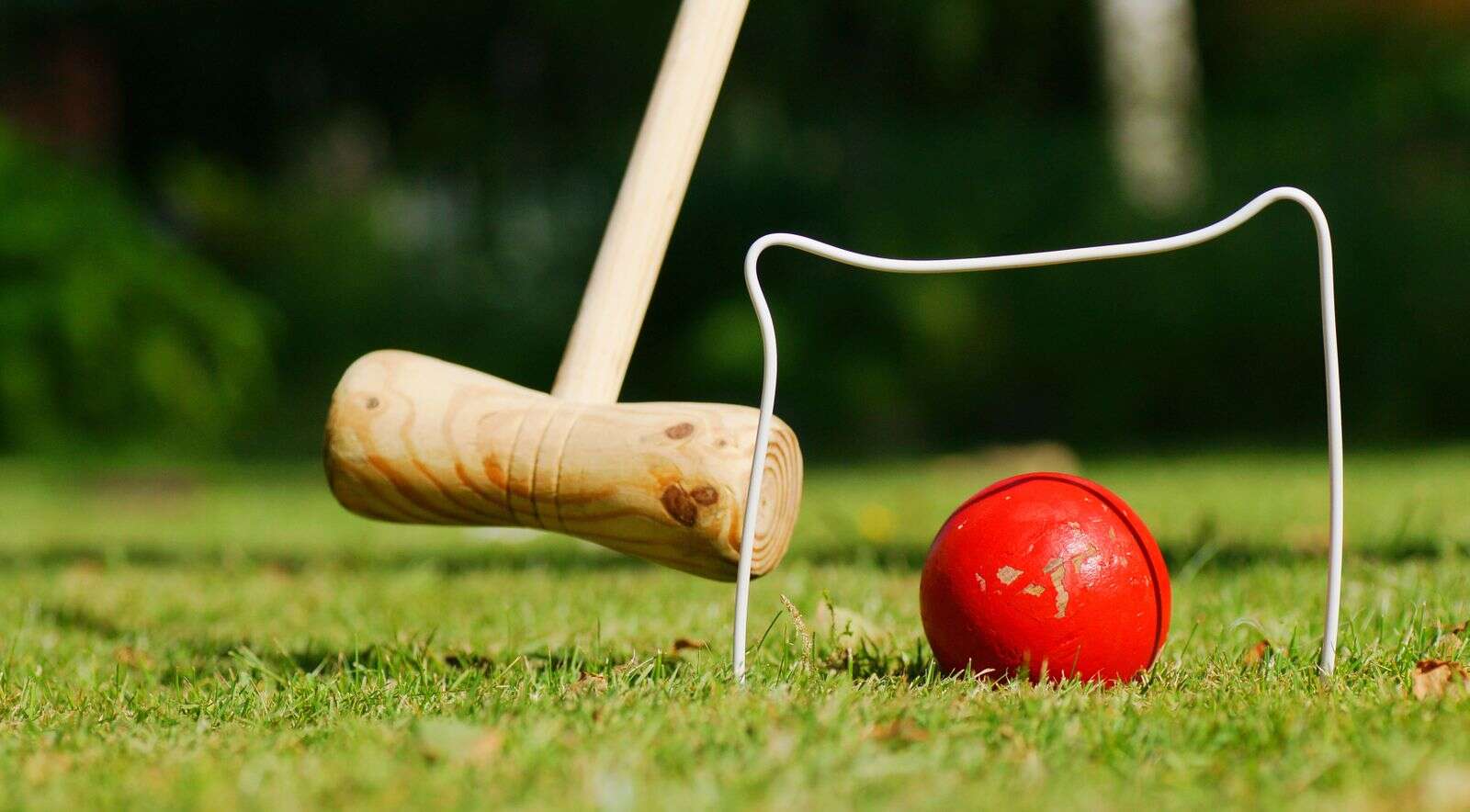 YMGCR Croquet Club | Shepparton News