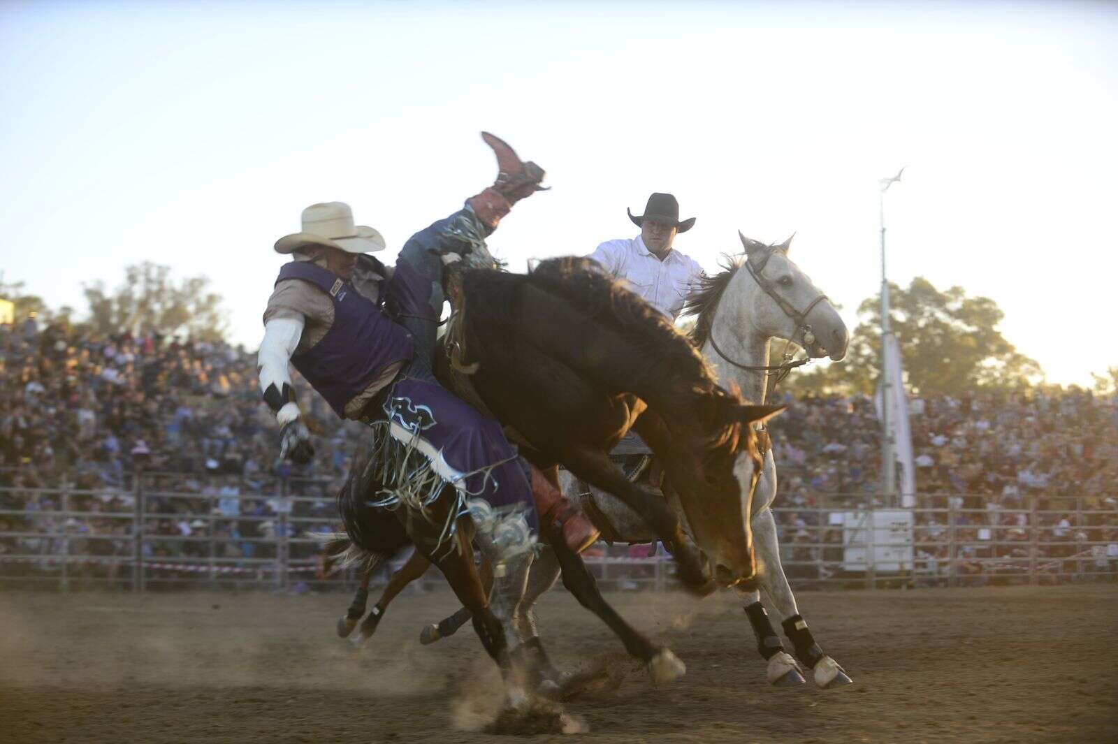 Saddle up and enjoy the Alexandra Rodeo | Country News