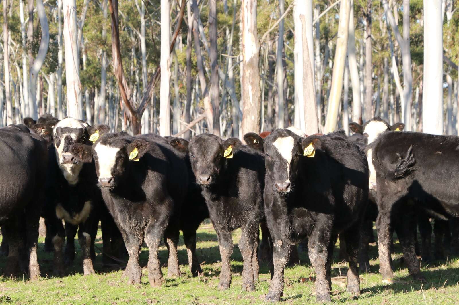 The farm that water built | Country News