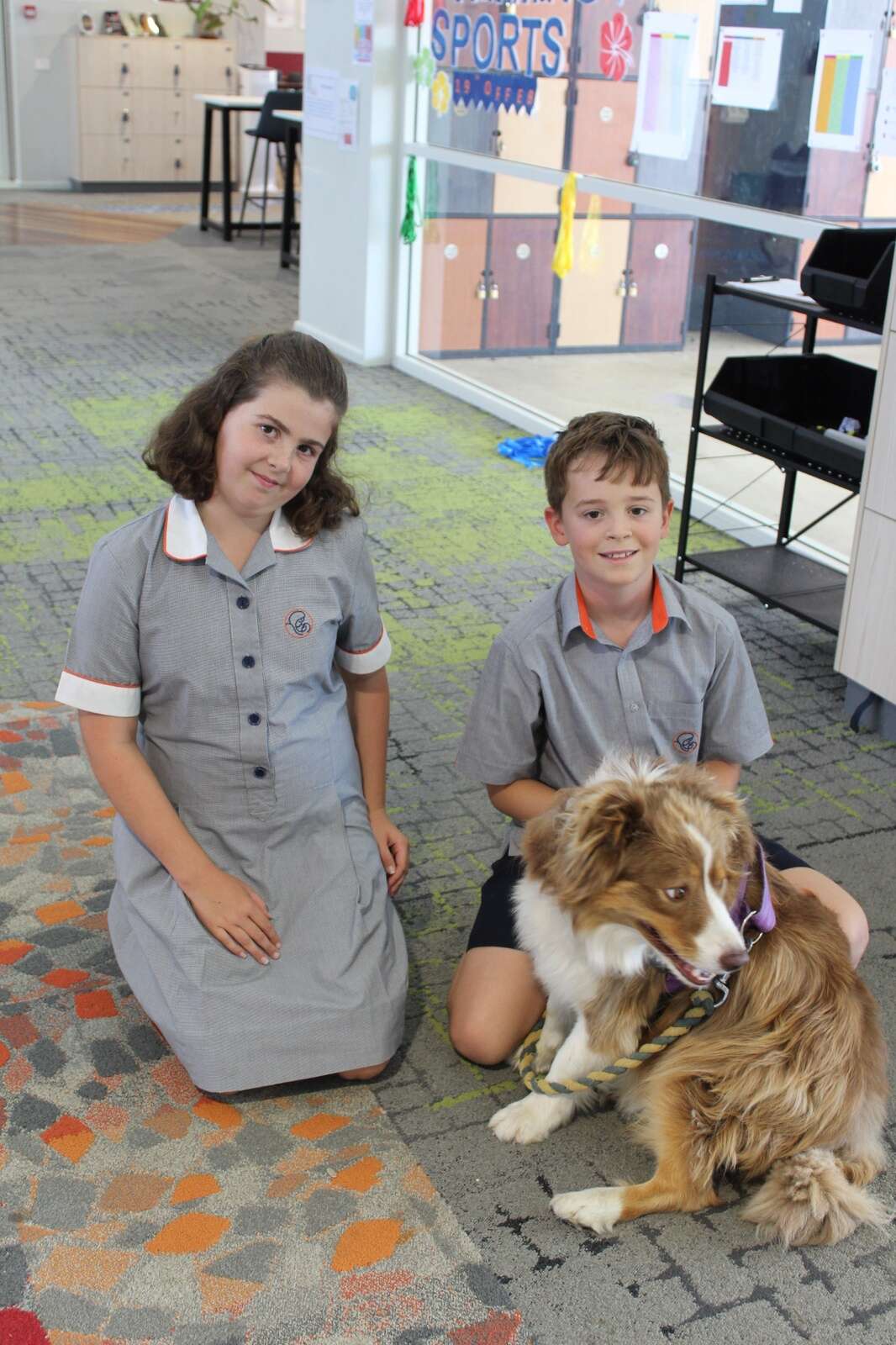 Macie creates love and comfort | Dairy News Australia