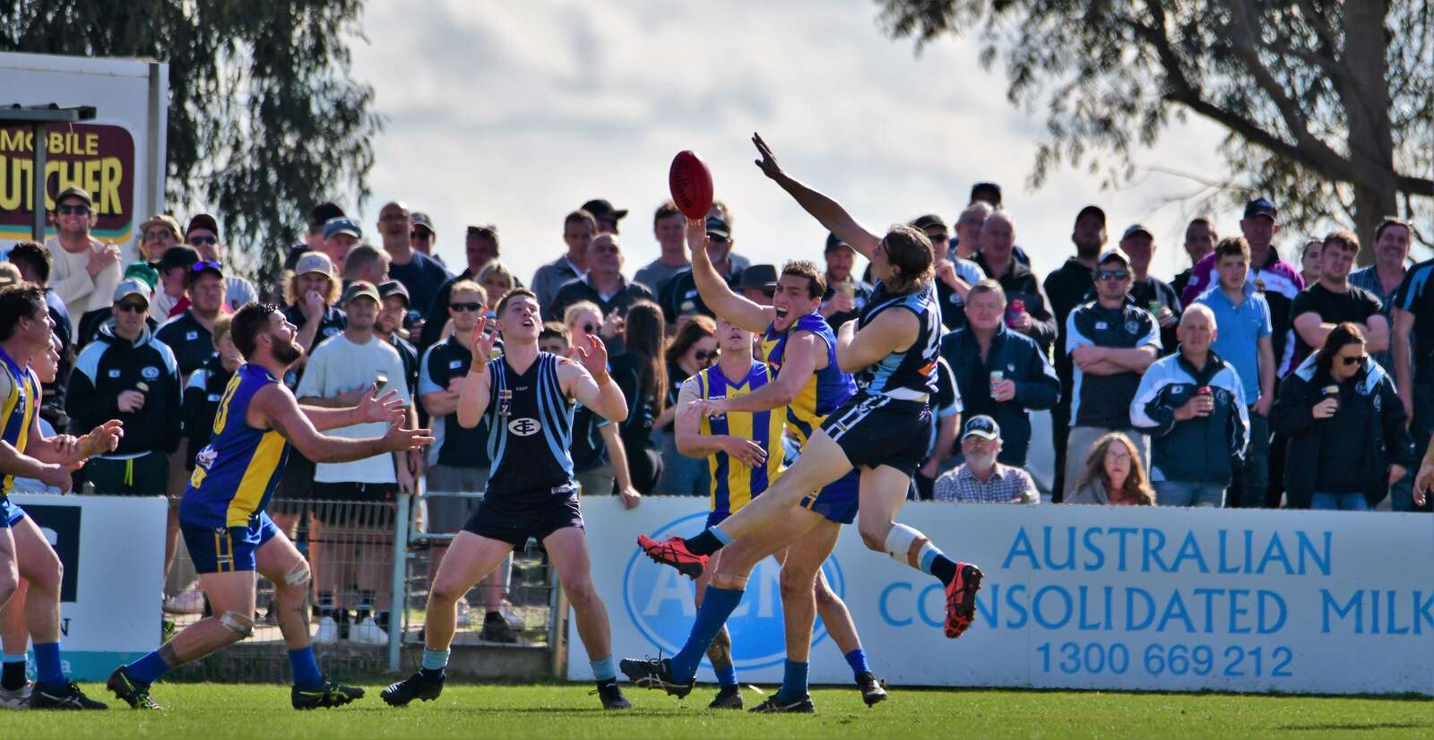 MFL | Moama prevails in Sunday afternoon epic, Tongala destroys ...