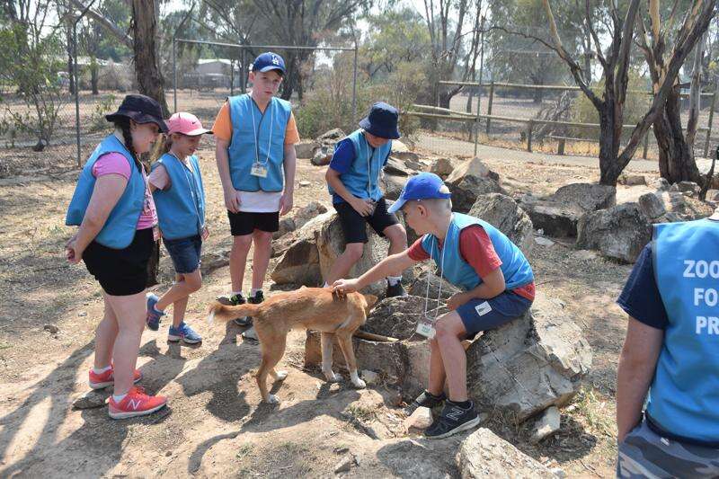 Day tripping: Having fun in school holidays | Benalla Ensign