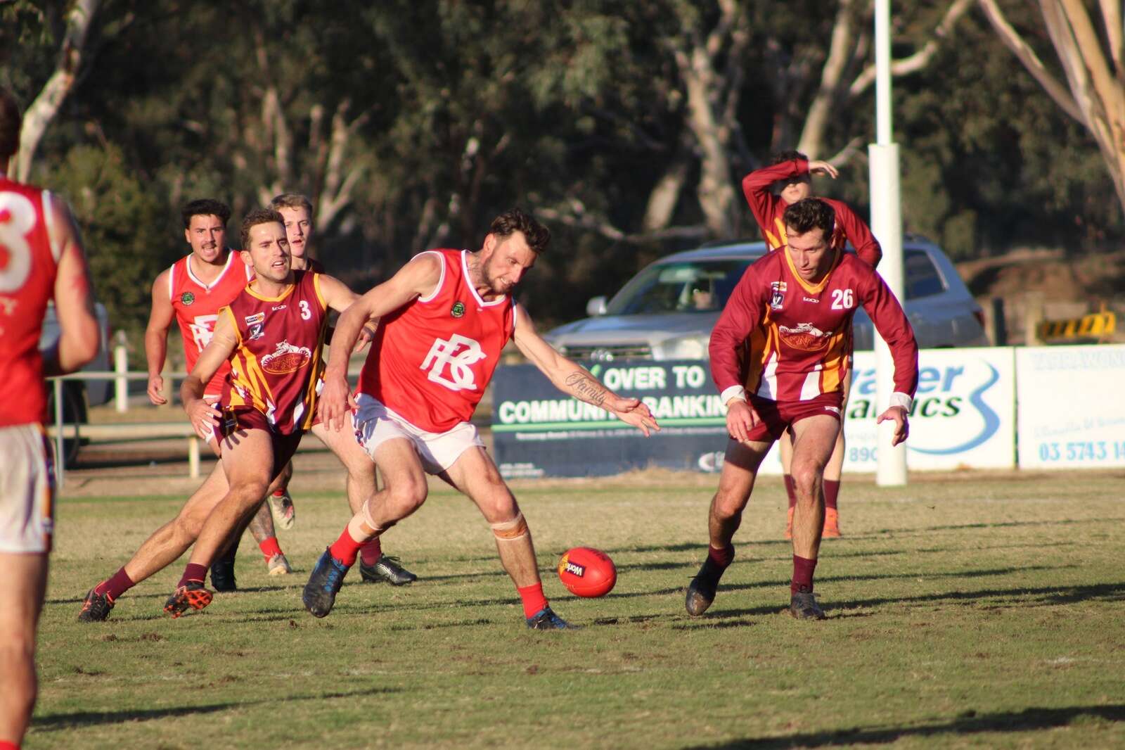 Blighty competitive against Bears | Shepparton News
