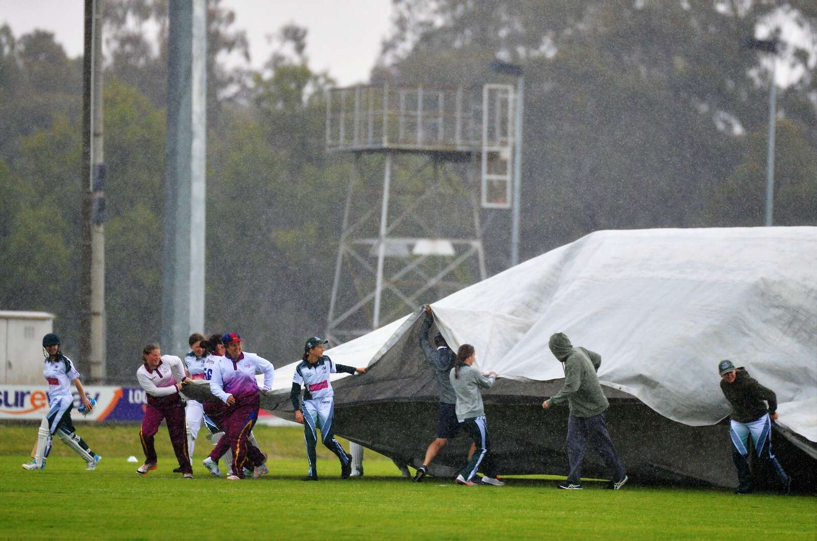 Nine-week cricket season starts Saturday | Country News