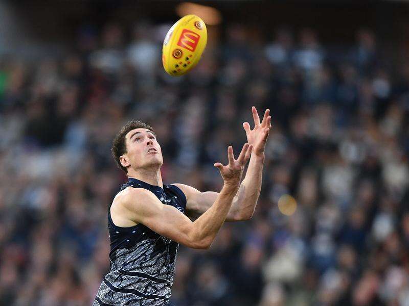 Cats gun Cameron no certainty to return against Bombers | Dairy News ...