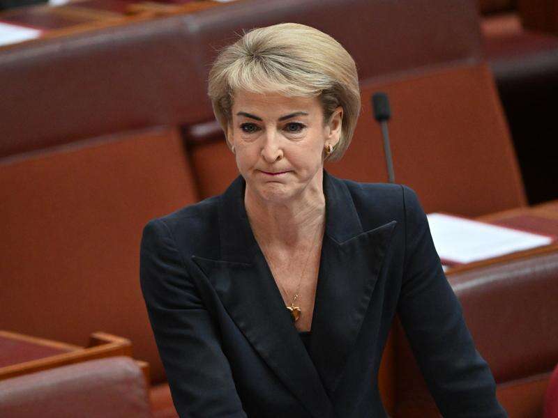 Emotions run high during Nazi symbol ban debate | Shepparton News