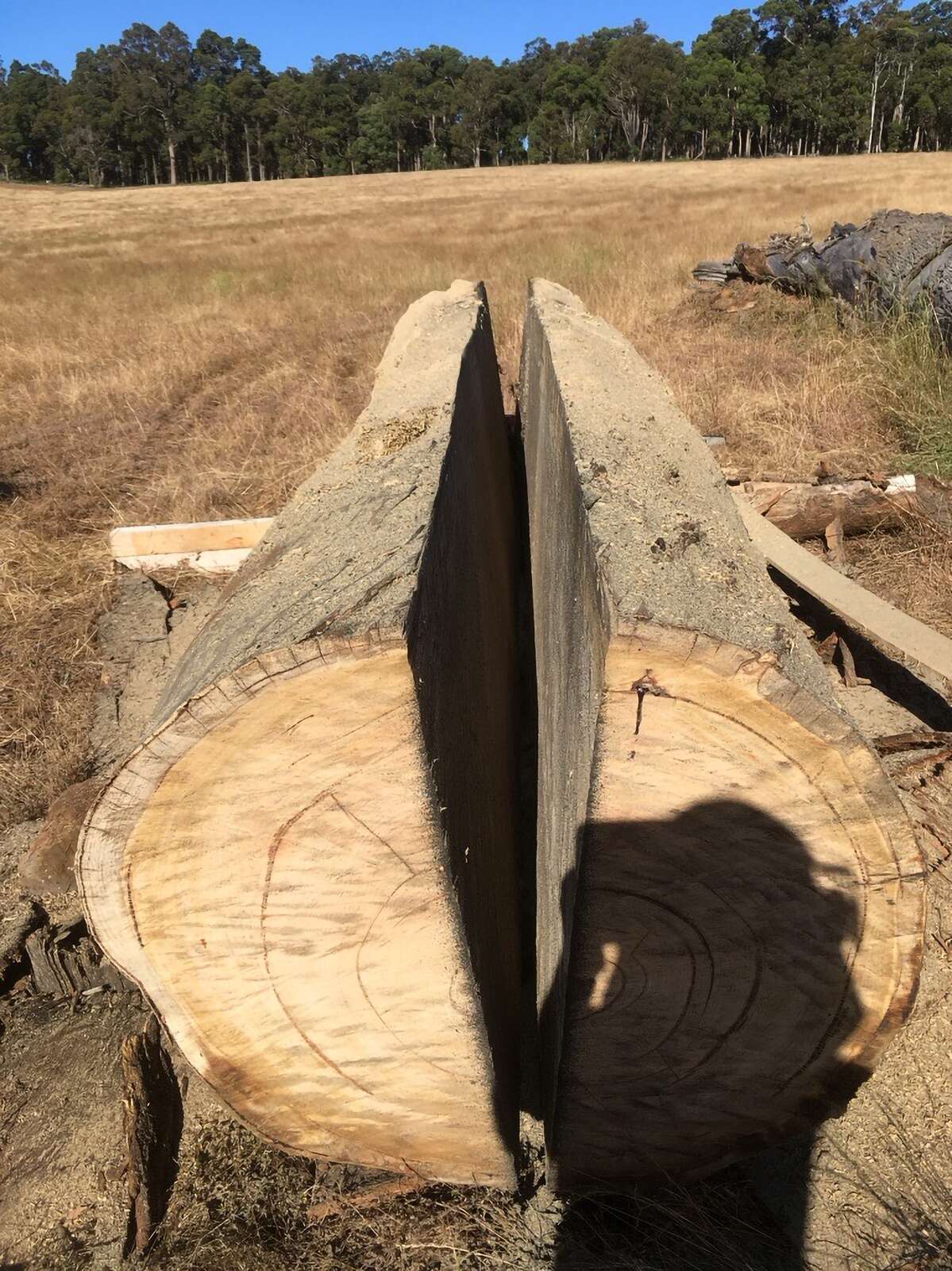 Mastering Australia’s hardwoods for more than 45 years | Campaspe News