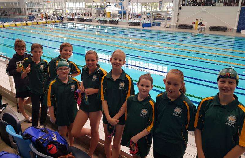 Echuca swimmers dive in at MSAC | Riverine Herald