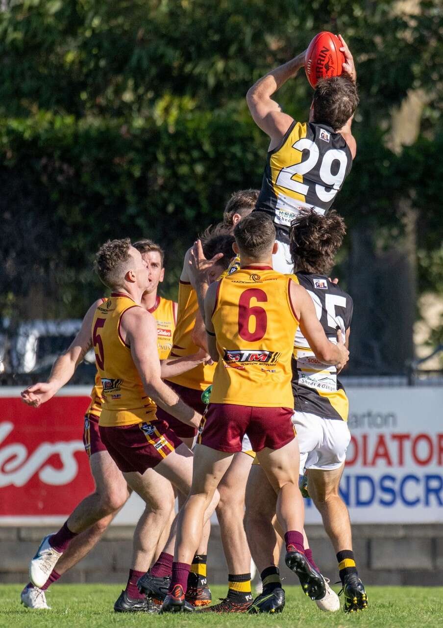 Tigers remain winless after Bear attack | Shepparton News