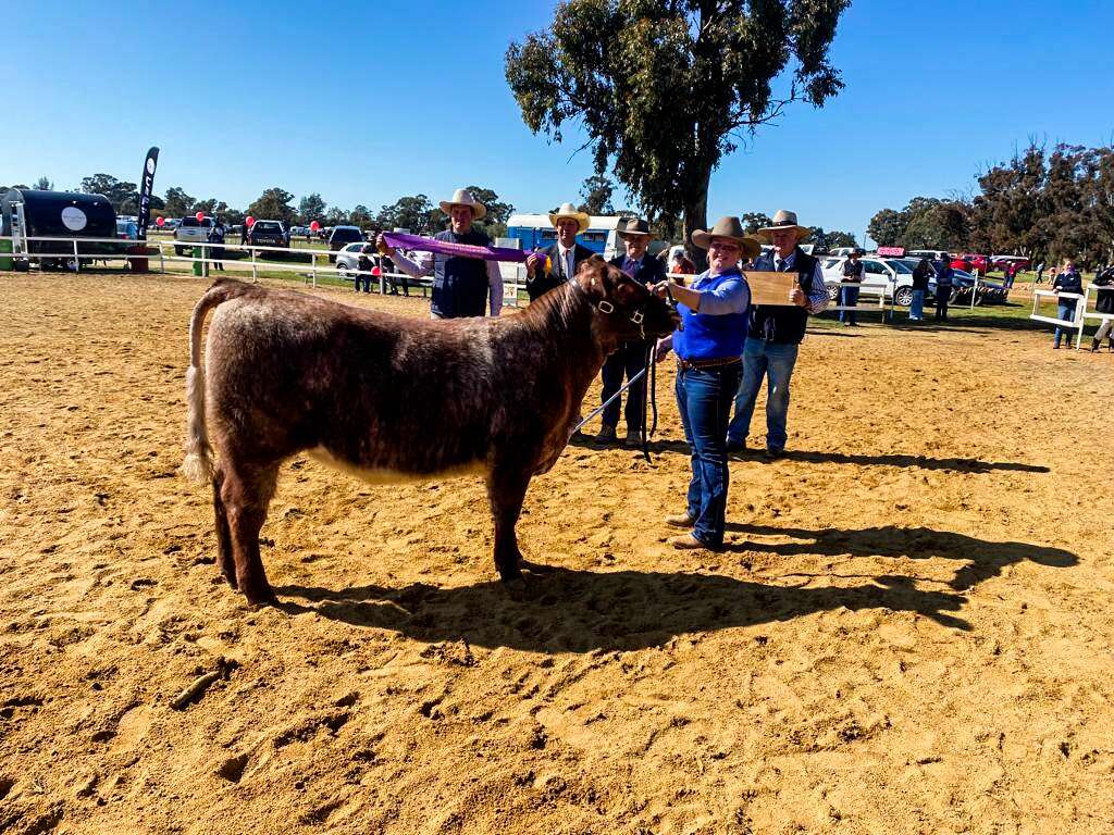 Animal handling entries aplenty at show | Dairy News Australia