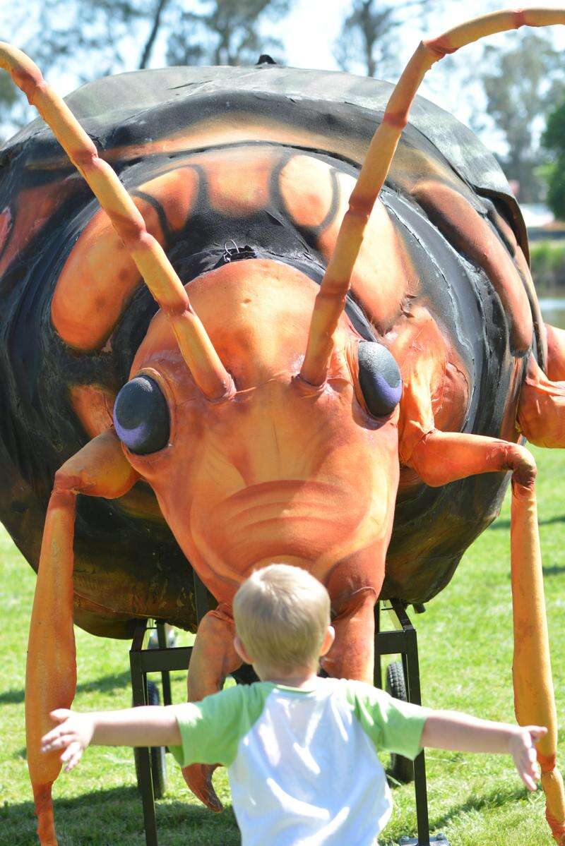 Benalla Festival 2023: Celebrating the Past, Present and Future | Seymour Telegraph