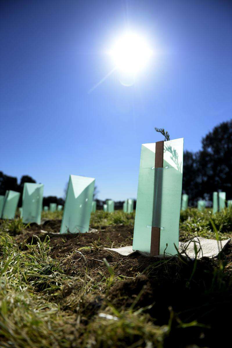 A growing concern | Country News
