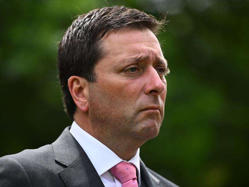 Guy denies Vic Libs using probe 'loophole' | Country News