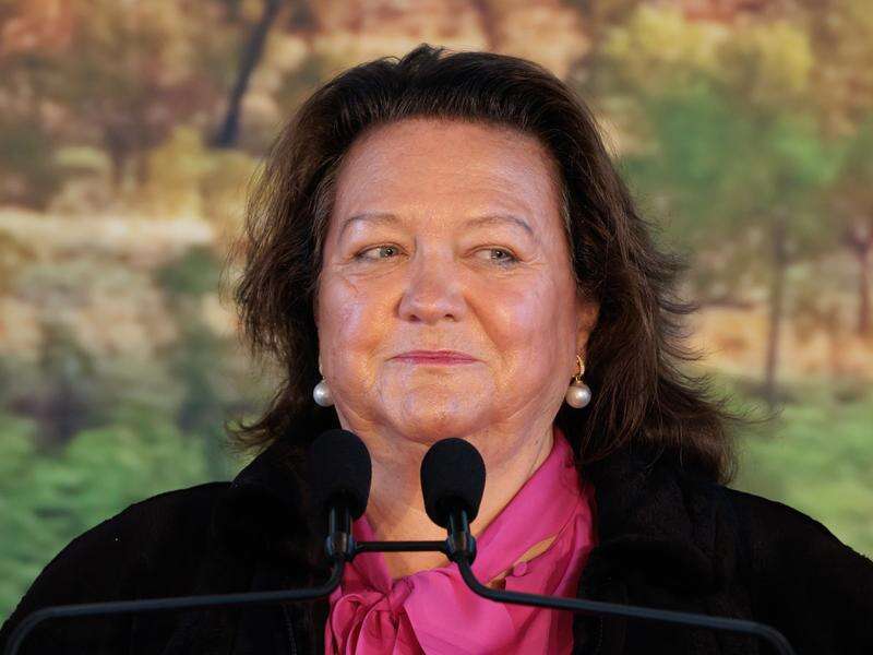 Alleged Rinehart plan to boost wealth at kids' expense | Kyabram Free Press