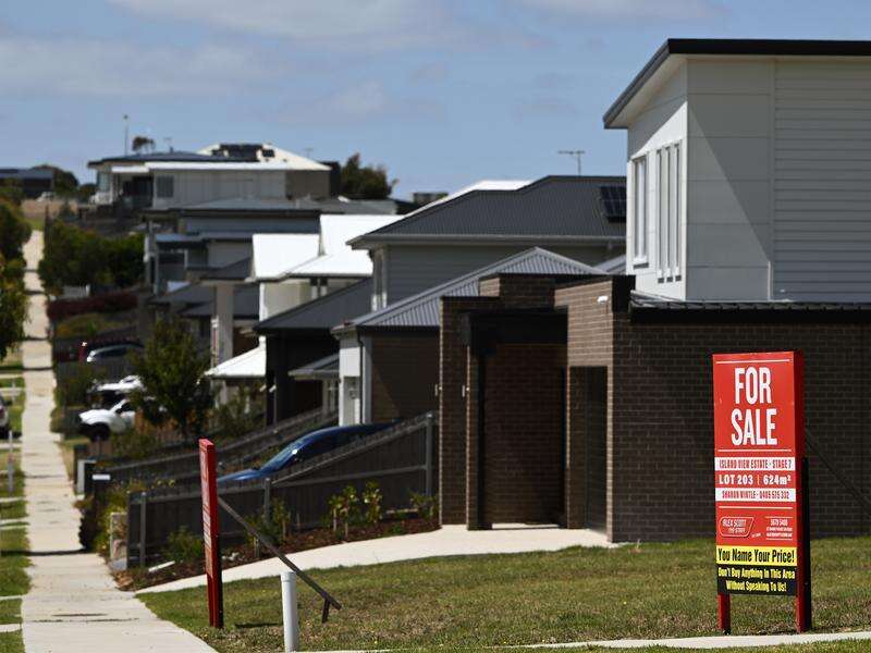 Super housing scheme could shave years off home wait | Country News