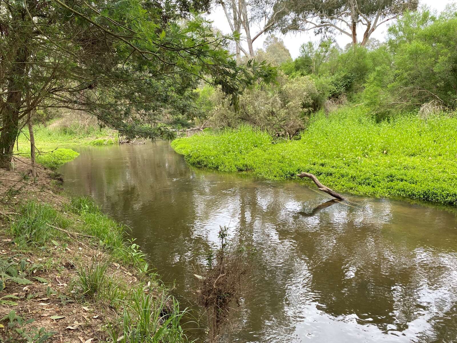 River and wetlands get a drink | Seymour Telegraph