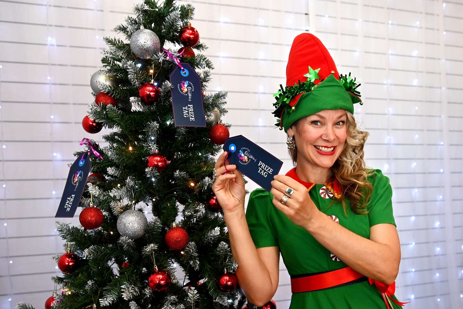 Council seeks elves to jingle all the way this festive season ...