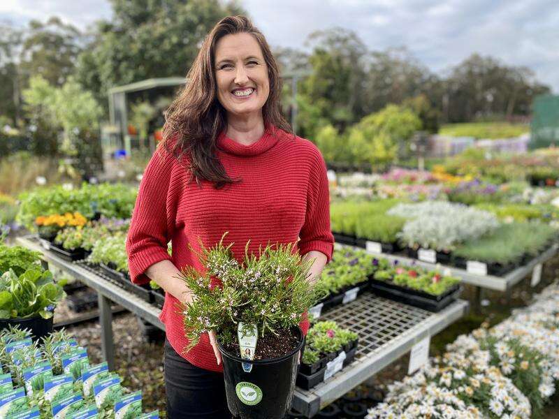 New plant label aims to ward off invaders | Country News