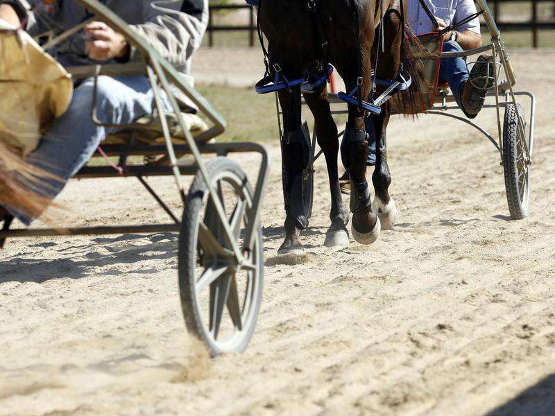 Harness racing horse welfare fails to keep pace in Tas | Kyabram Free Press