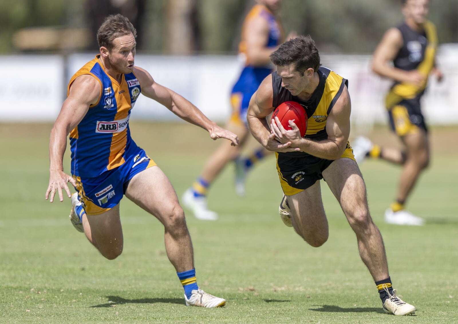 Gallery | Tigers pick up first pre-season win | Seymour Telegraph