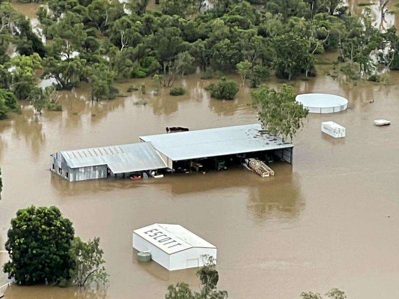 Anxious wait as Queensland floods expected to peak | Country News