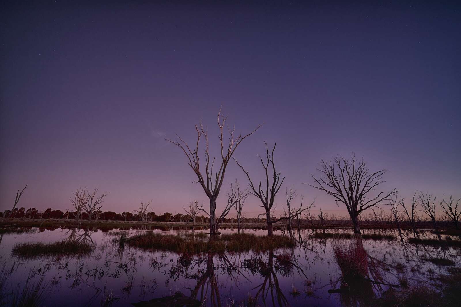 Day tripping: Winton Wetlands | Corowa Free Press